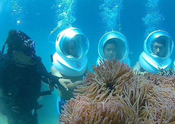 Sea Walking in Havelock Island, Best Sea Walking Tour Packages in ...